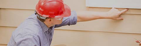 San Diego Drywood Termite Control and Prevention Methods