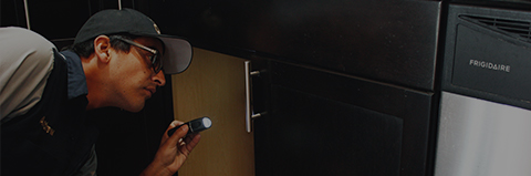 San Diego Pest Control and Extermination Services