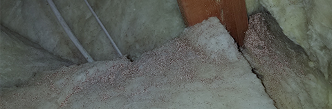 Structural Fumigation Volume Calculator by GC Termite Control